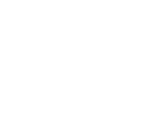 Services – Alsop Property Management